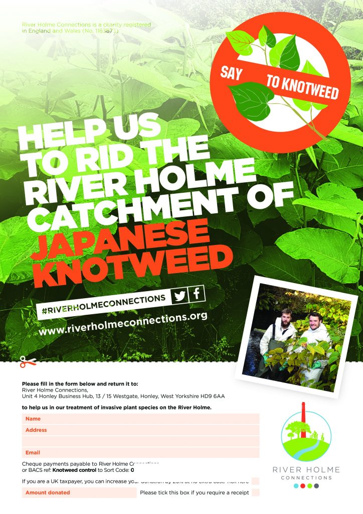 INNS Out: Japanese knotweed control - River Holme Connections