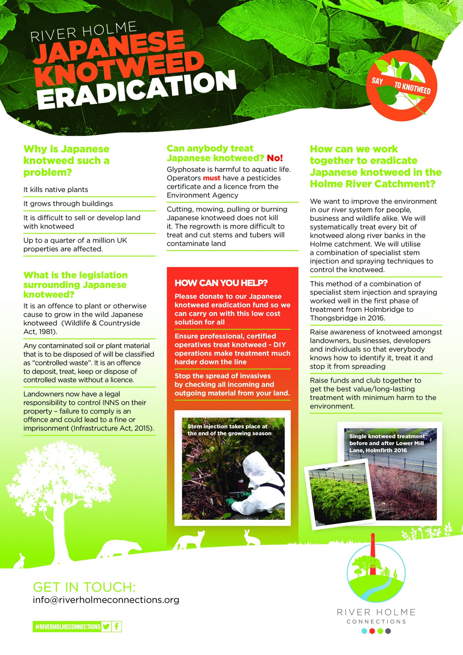 INNS Out: Japanese knotweed control - River Holme Connections