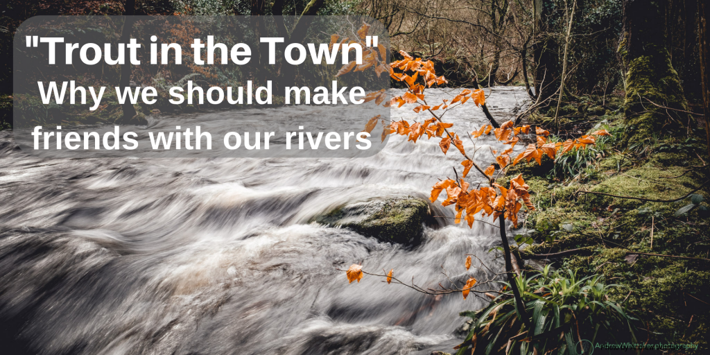Our Holme Festival: Rivers are the lifeblood of your town - River Holme ...