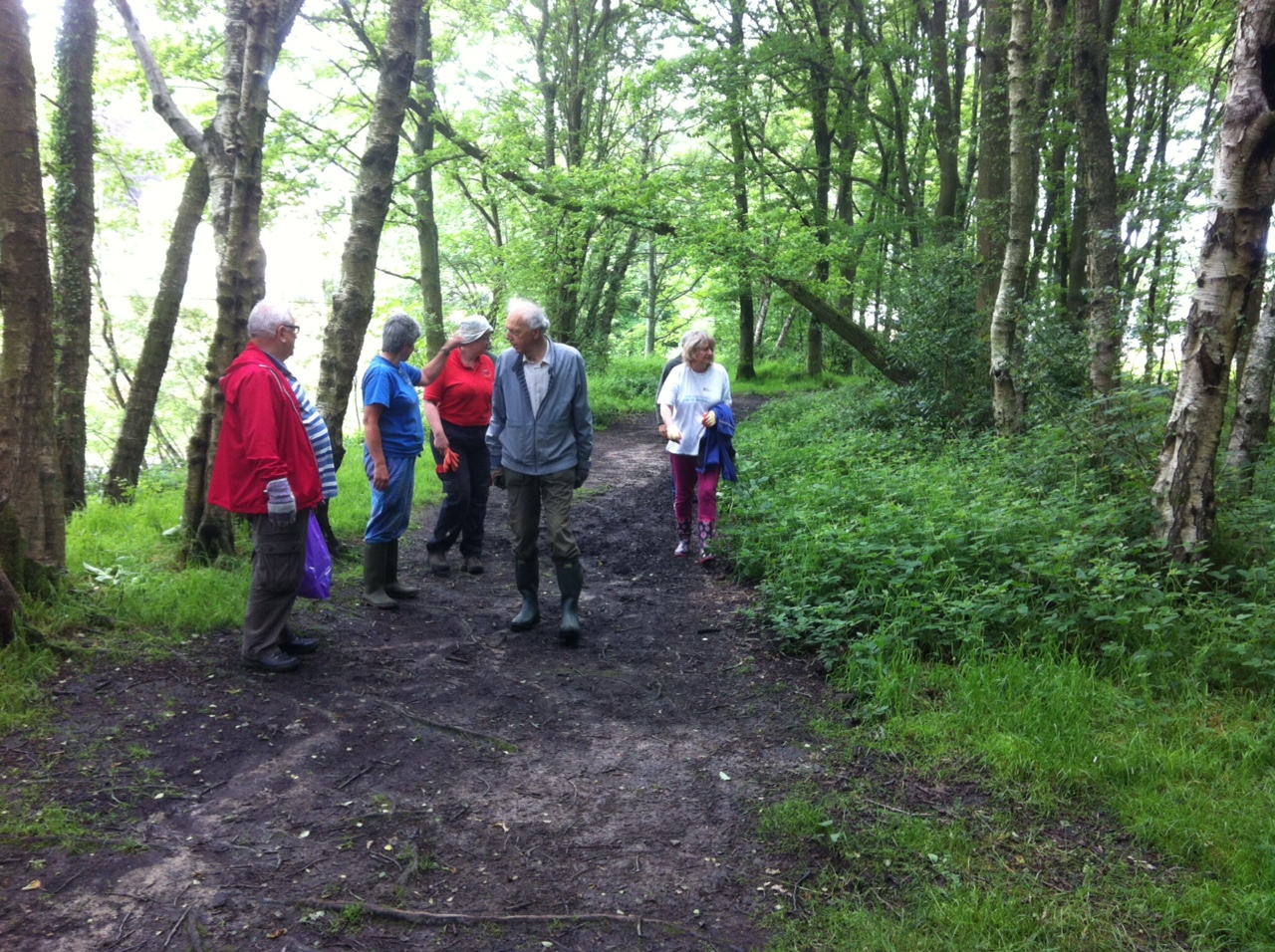 Himalayan balsam control - River Holme Connections