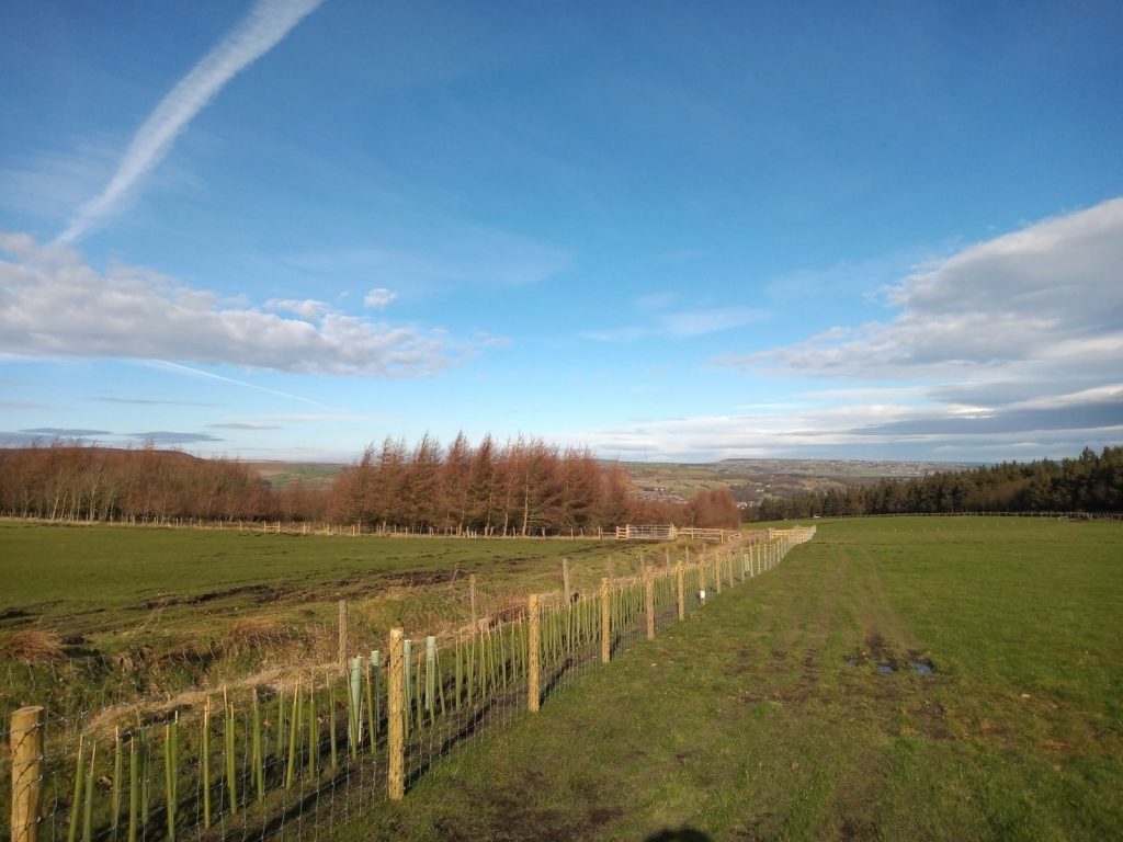 Planting native trees in the right place, River Holme Connections