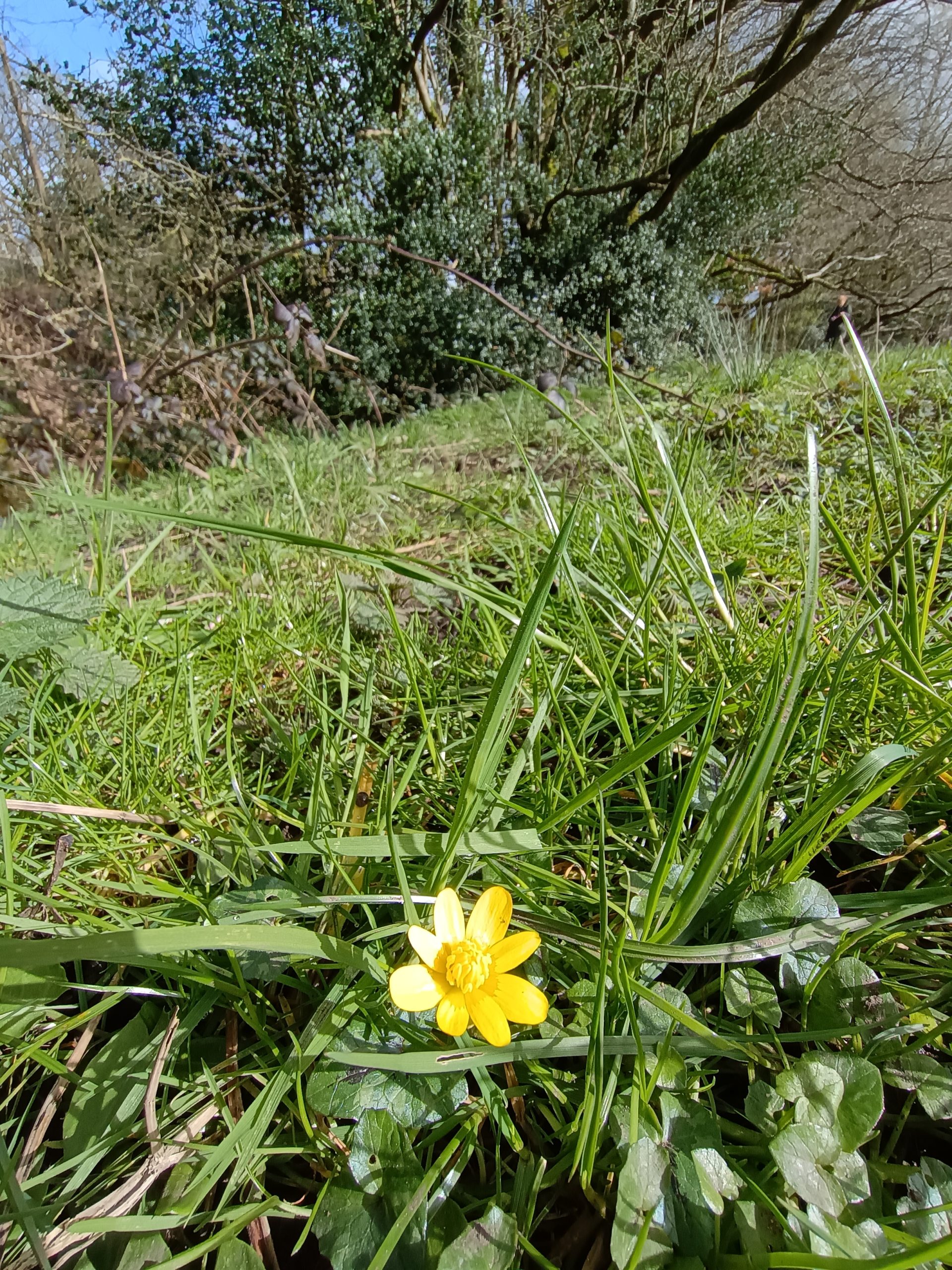 Nature Writing Walk with Laurence Rose - River Holme Connections